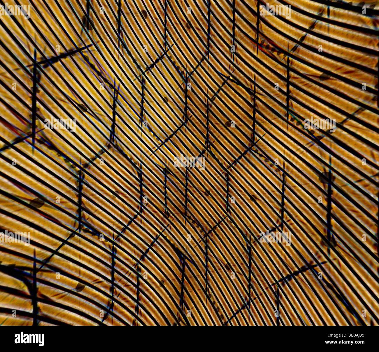 An intricate pattern of hexagonal shapes interwoven with alternating ...