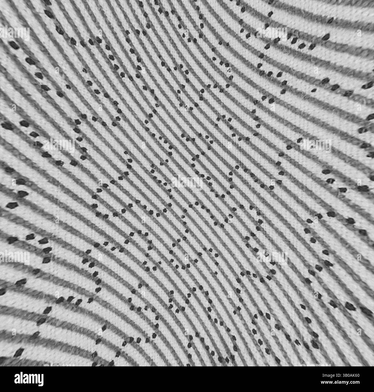 Closer examination of texture Black and White Stock Photos & Images - Alamy