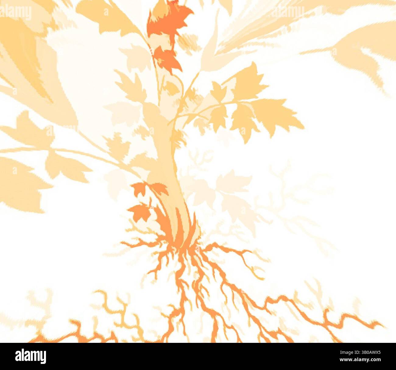 Detailed roots create hi-res stock photography and images - Alamy