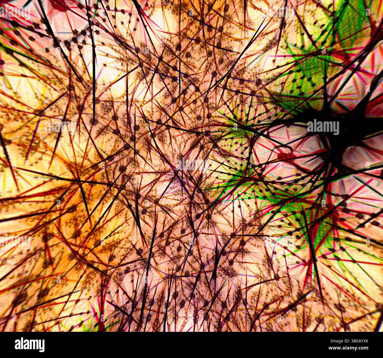 A vibrant and intricate web of intersecting lines and patterns ...