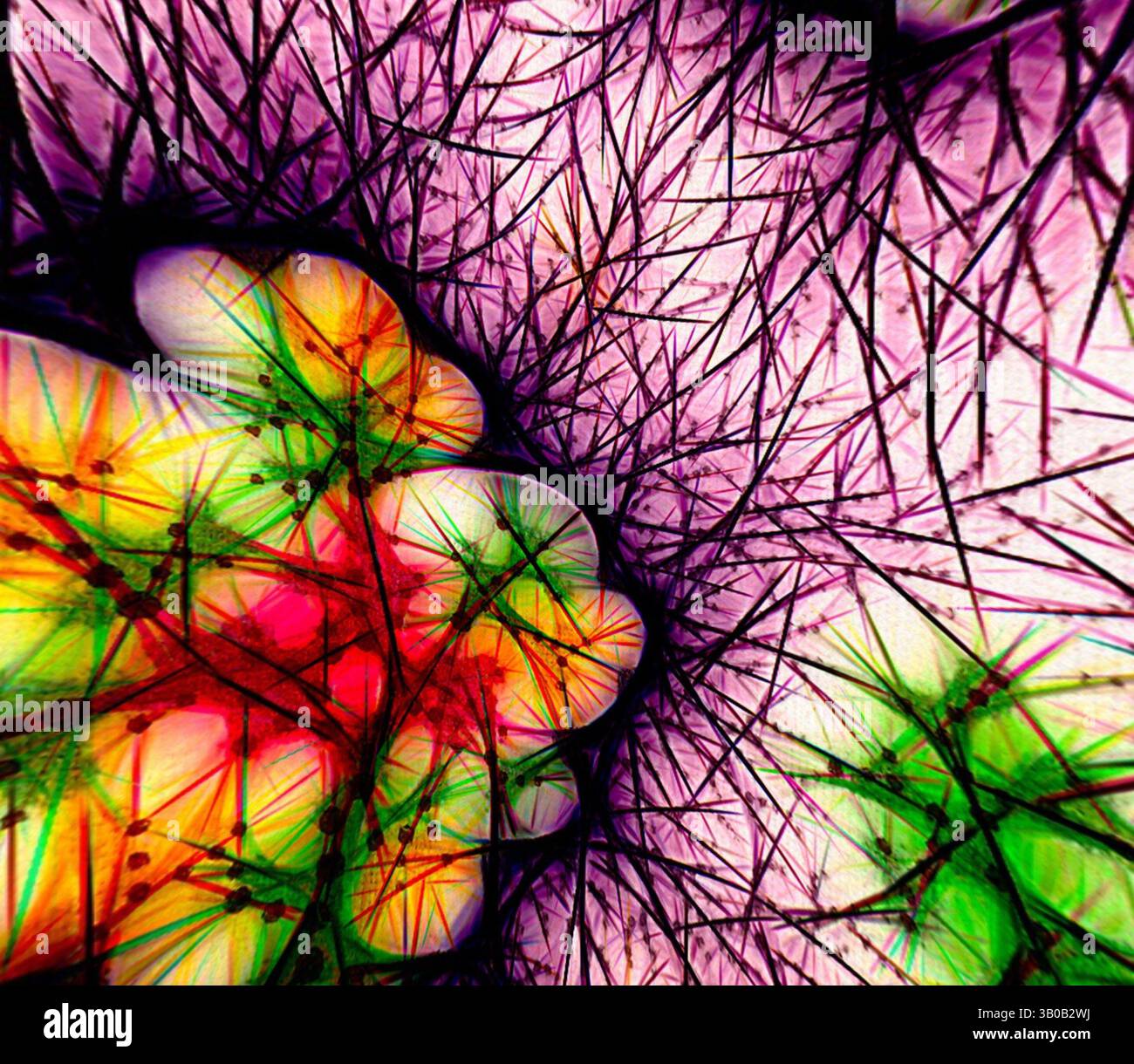 A vibrant array of intertwining shapes and colors, with organic forms ...
