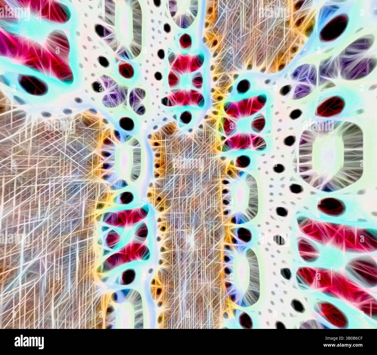 Beauty of microscopic structures hi-res stock photography and images ...