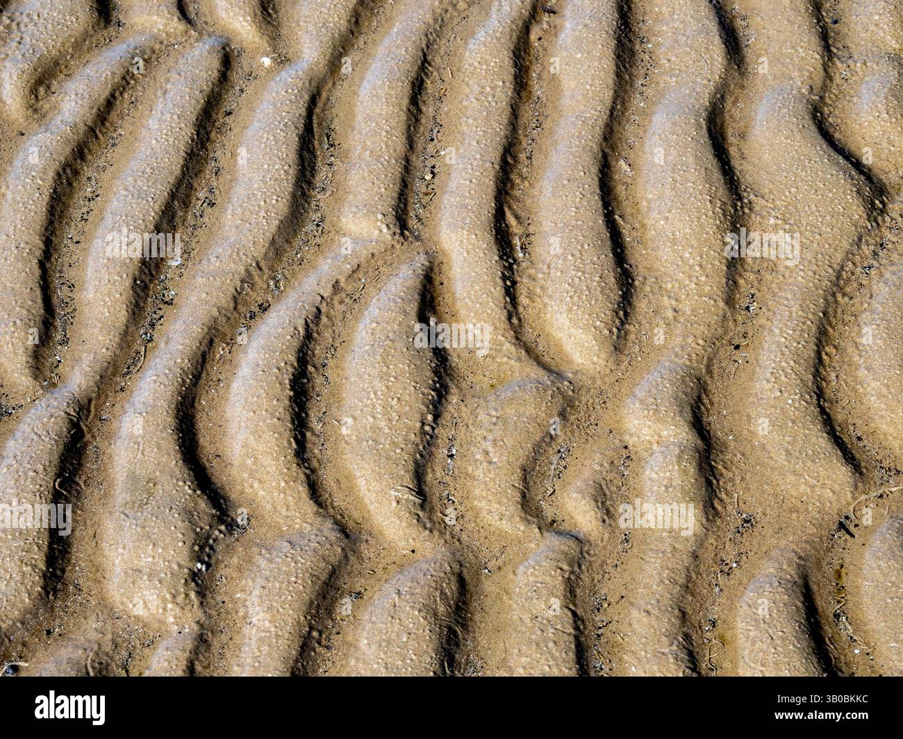 Pattern of ridges on a sandy beach Stock Photo - Alamy