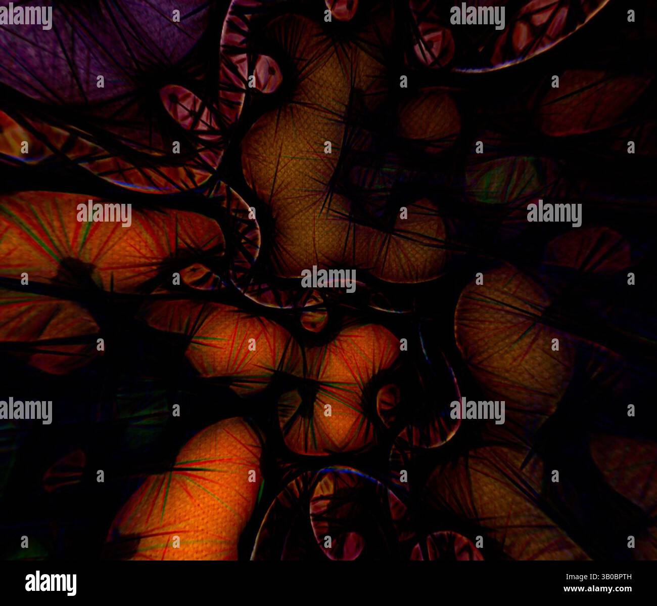 Mesmerizing swirl intertwining shapes hi-res stock photography and ...