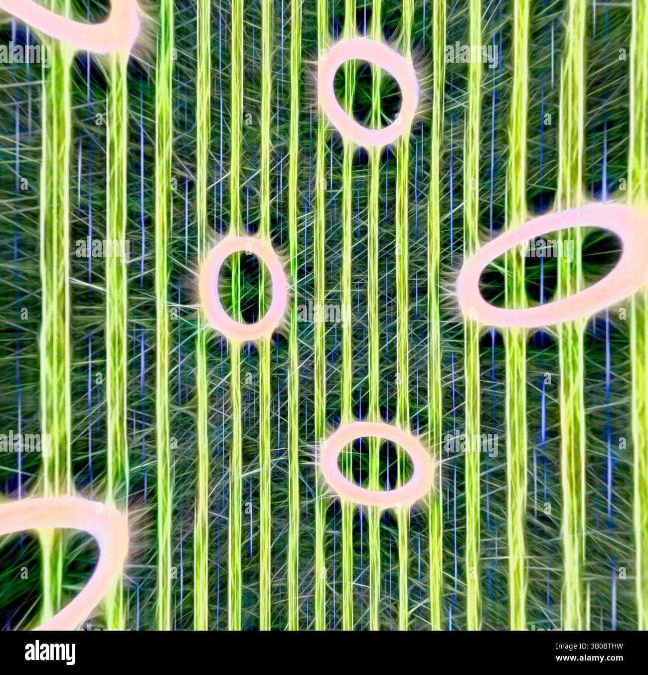 A vibrant arrangement of vertical lines in various shades of green ...