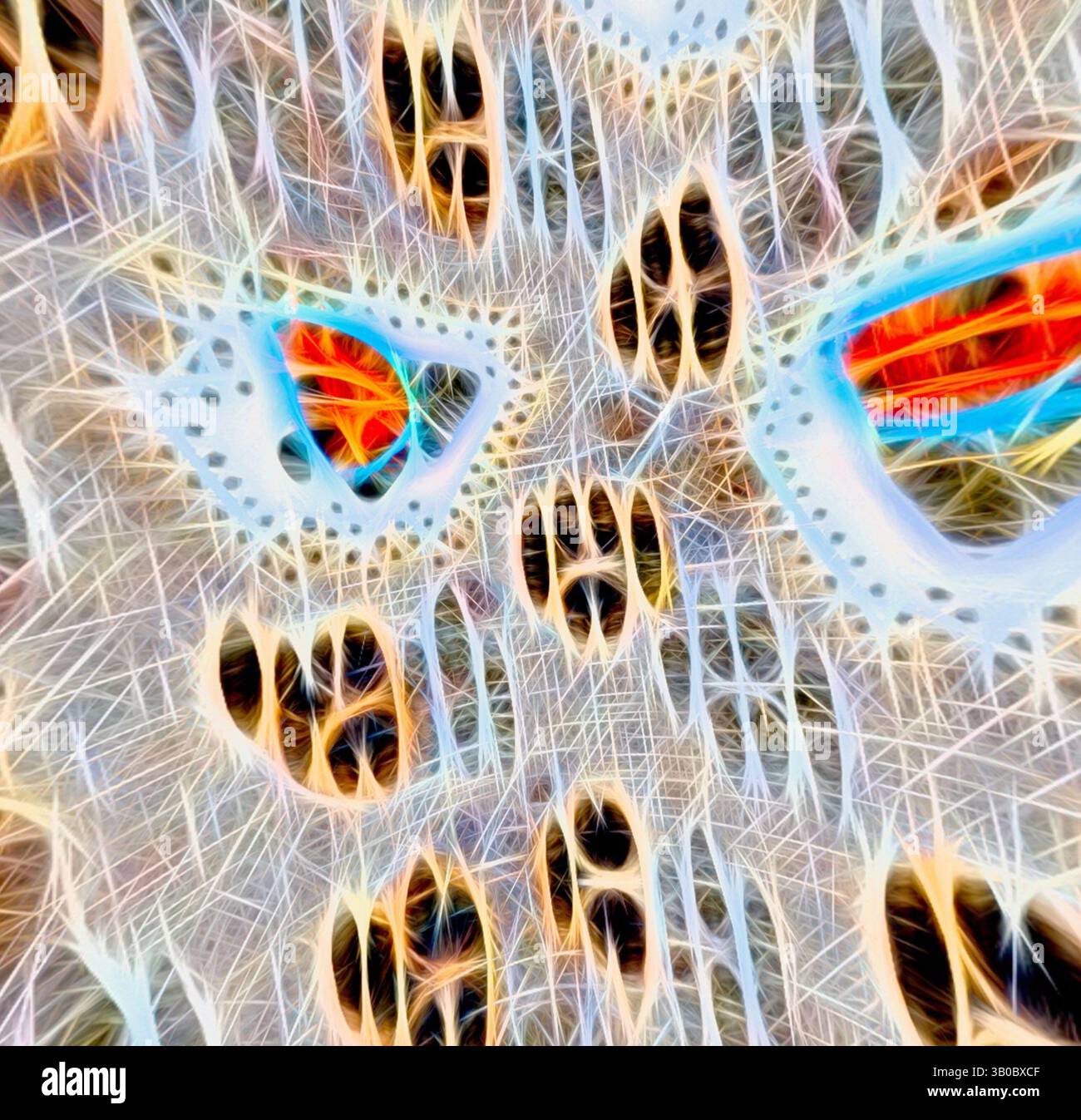 An abstract composition showcasing intricate patterns and vibrant ...