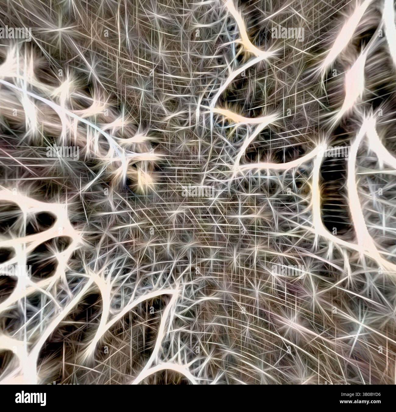 Branching patterns intertwines hi-res stock photography and images - Alamy