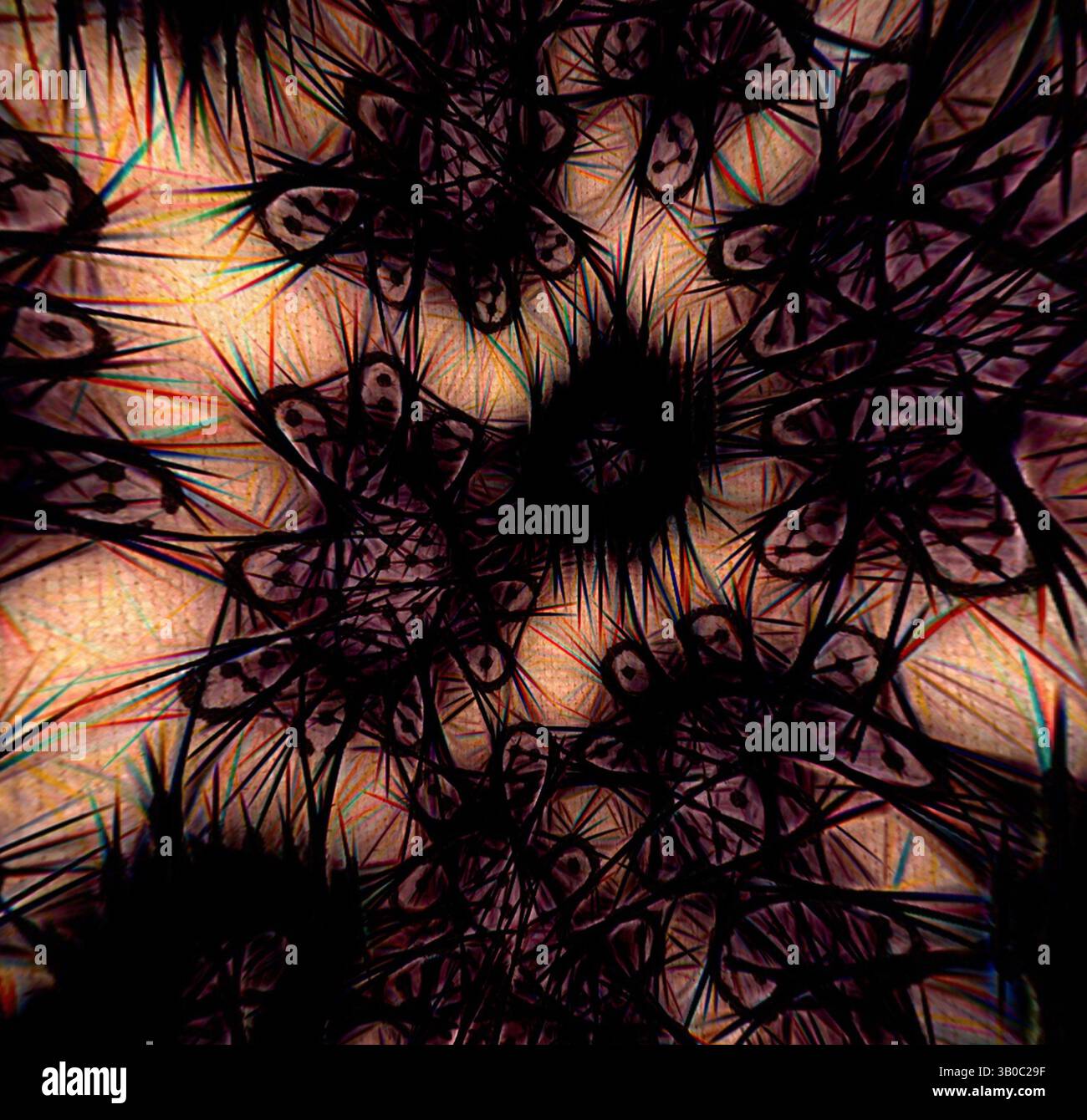 An intricate pattern emerges, featuring sharp, spiky shapes intertwined ...