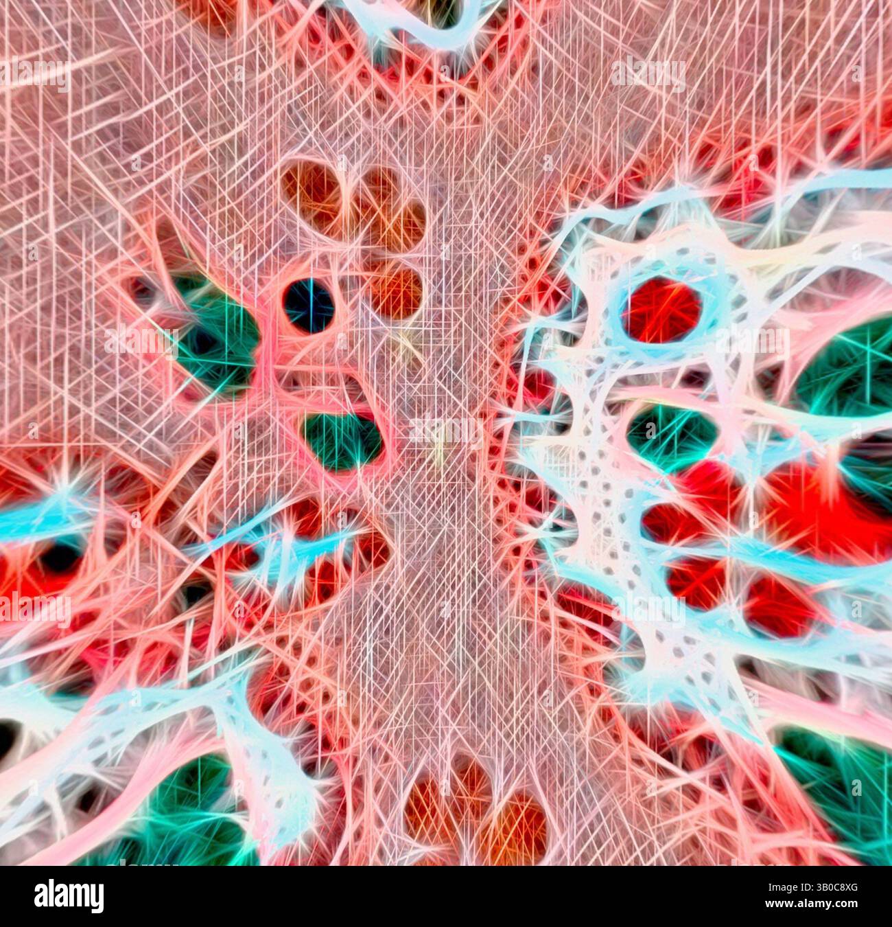 A mesmerizing display of intricate patterns and vibrant colors ...