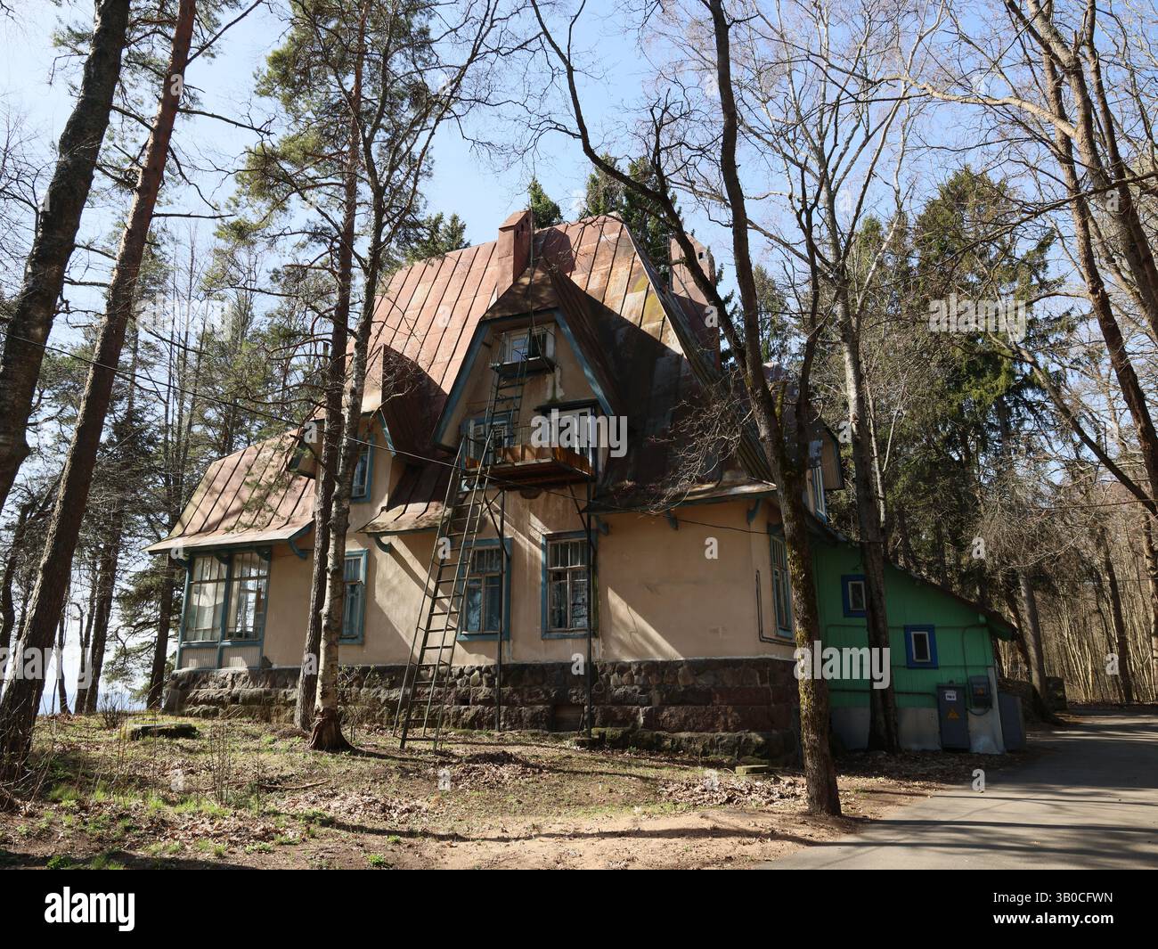 A Charming Forest House Nestled Amongst Tall Trees for an Idyllic ...