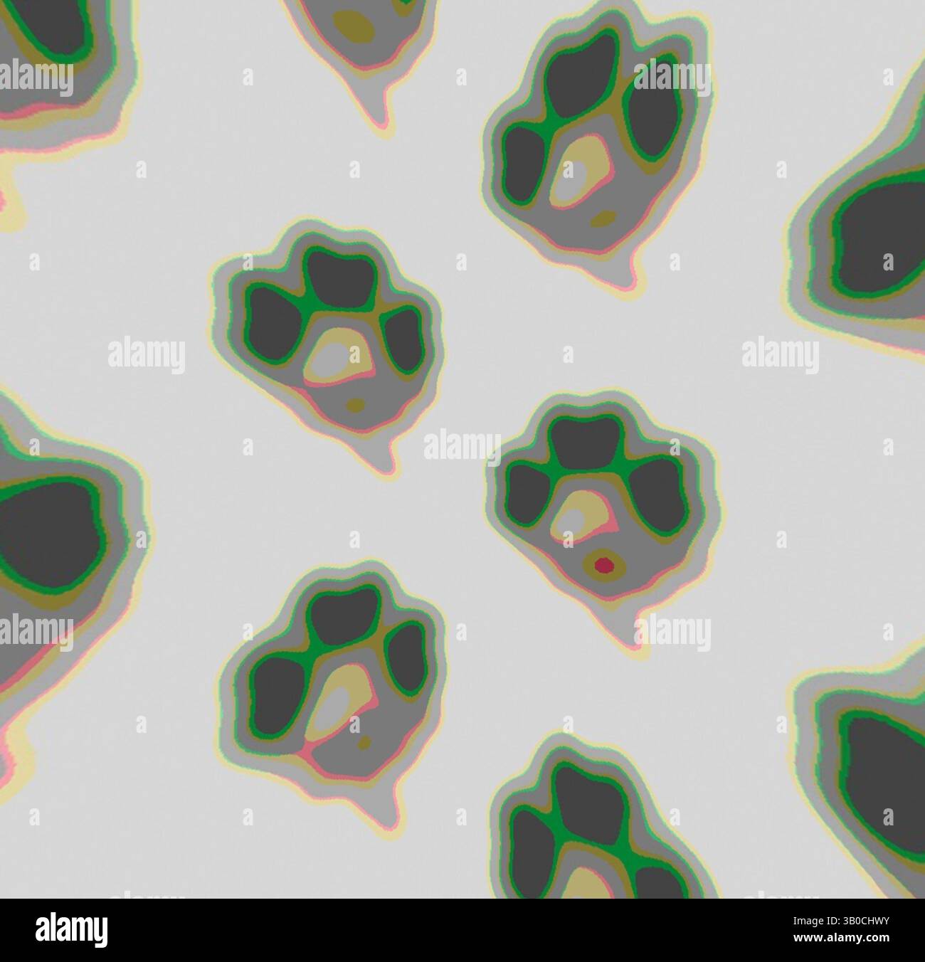 Stylized animal paw prints in various shades hi-res stock photography ...