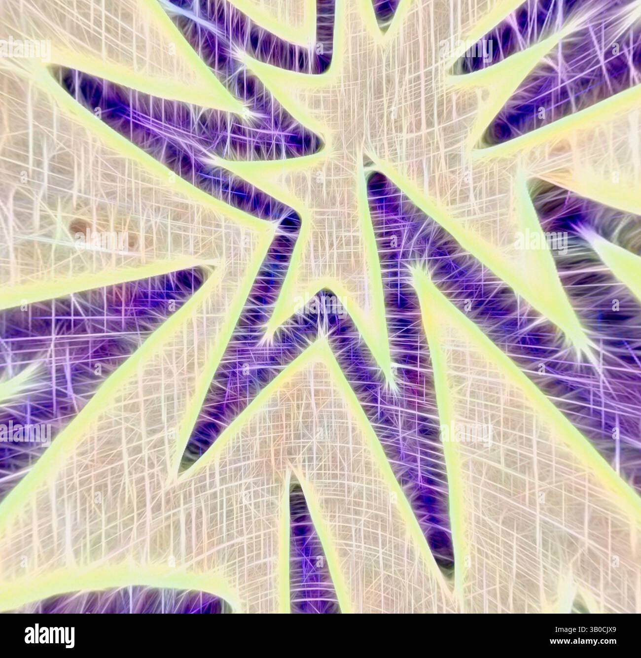 A vibrant explosion of interwoven shapes, featuring sharp, star-like ...