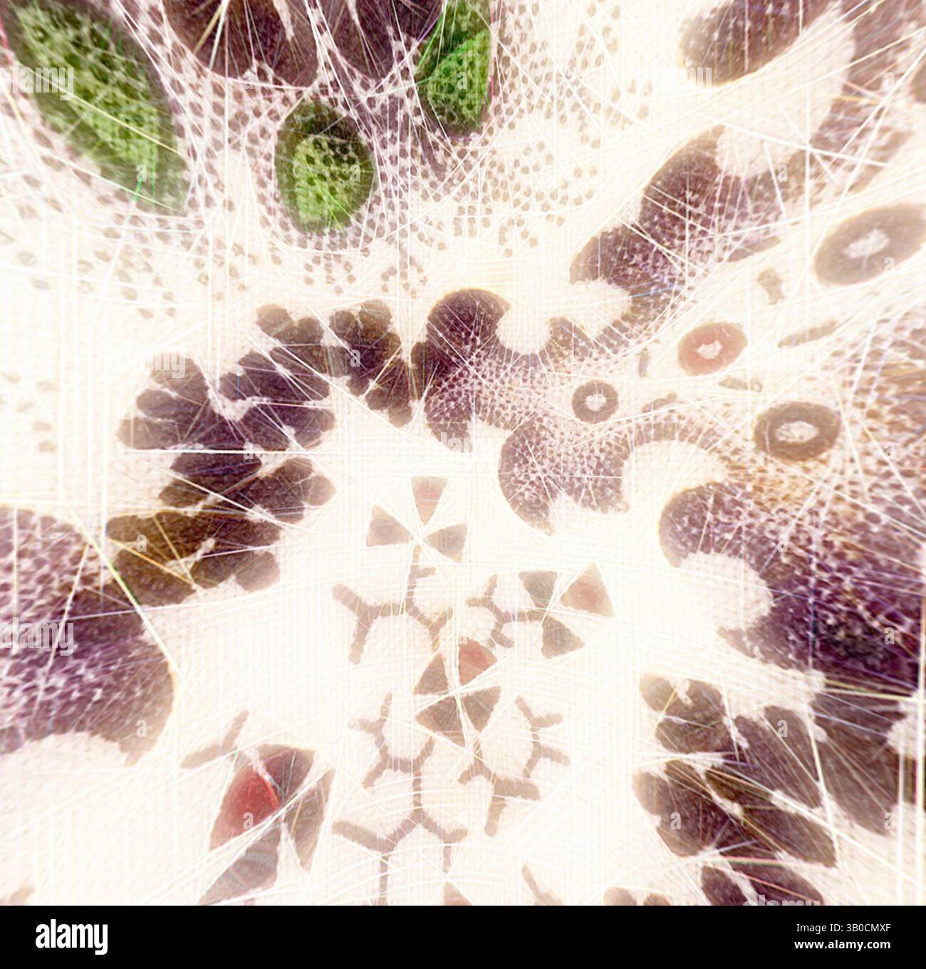 Reminiscent of natures complex forms hi-res stock photography and ...