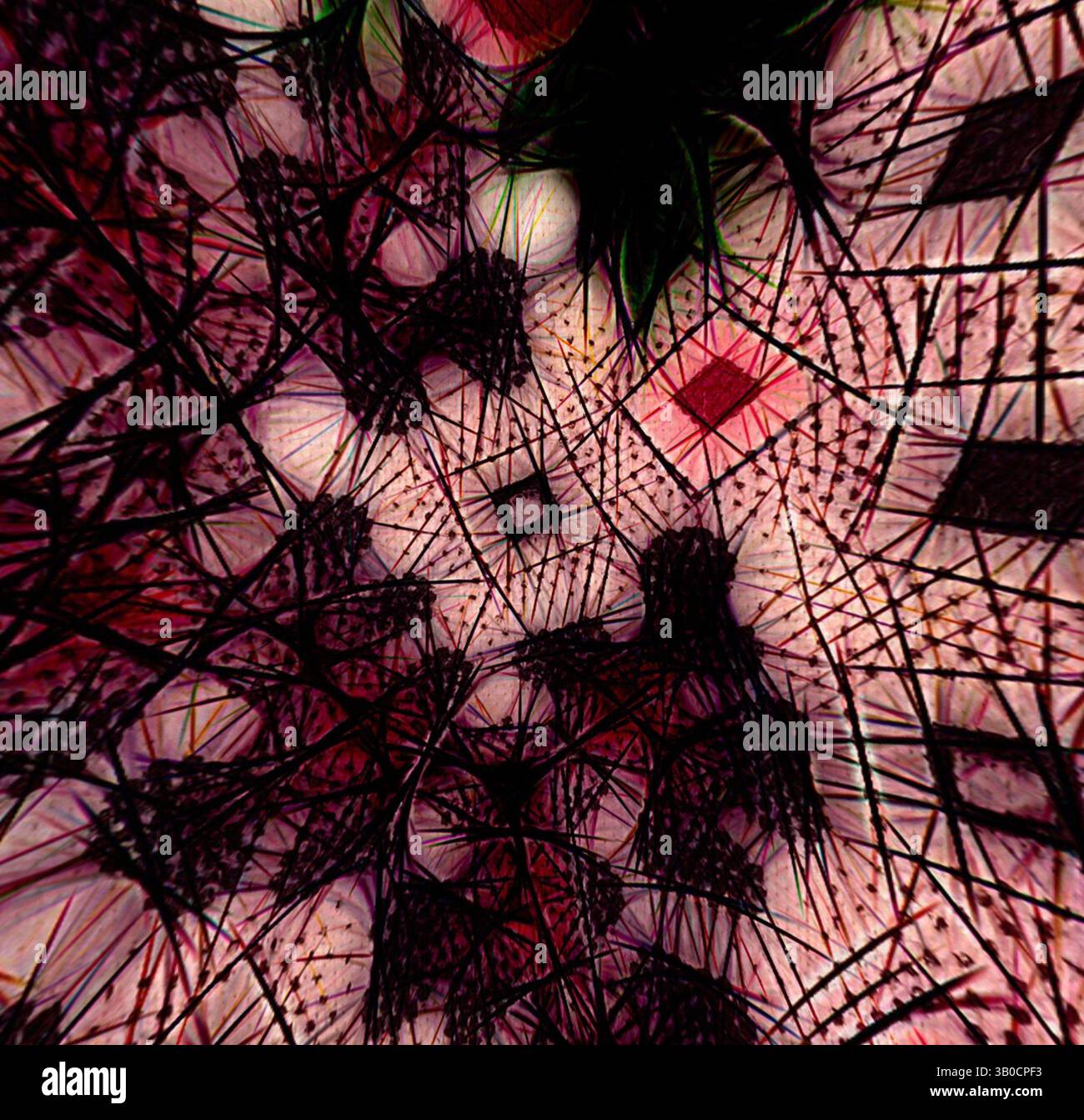 A complex pattern of intertwining lines and shapes creates a visually ...