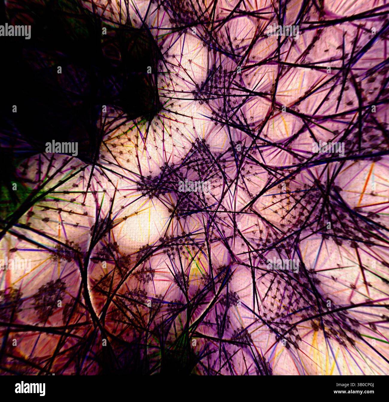 An intricate pattern featuring a lattice of lines and shapes in vibrant ...