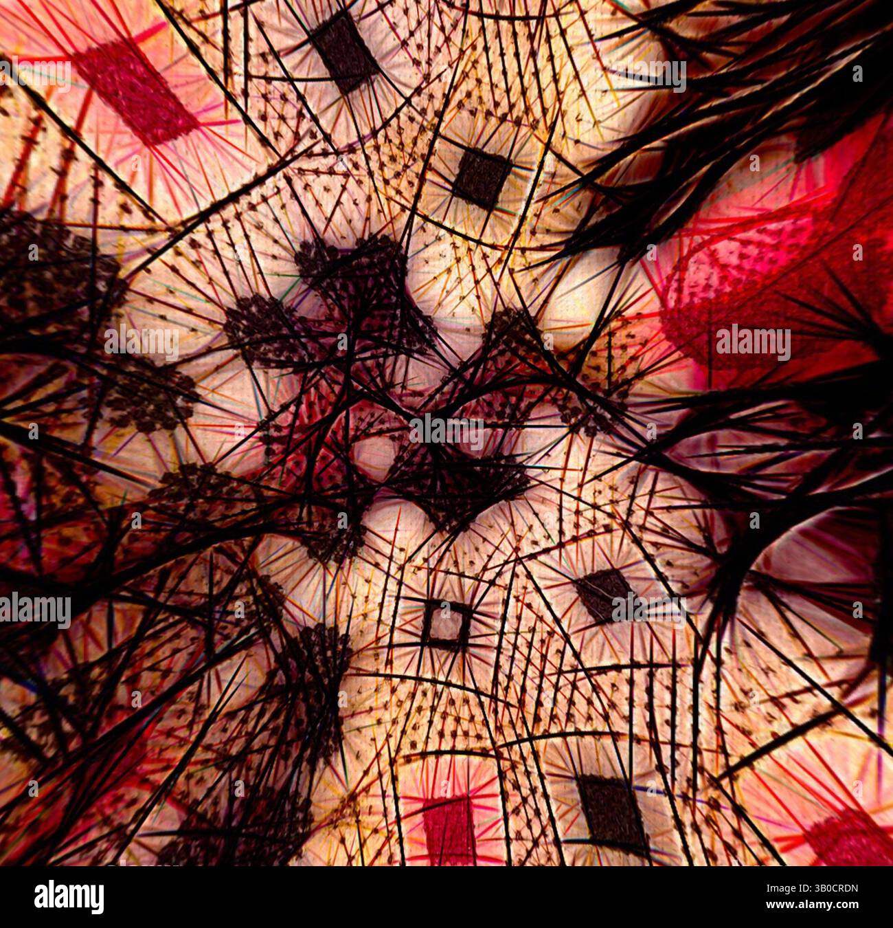 An intricate pattern of interwoven geometric shapes and lines ...