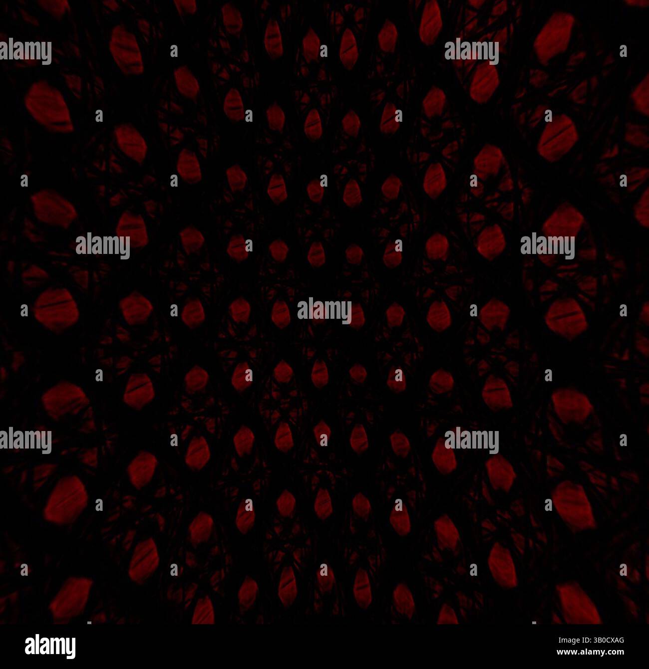 Web of interconnected shapes creates hi-res stock photography and ...