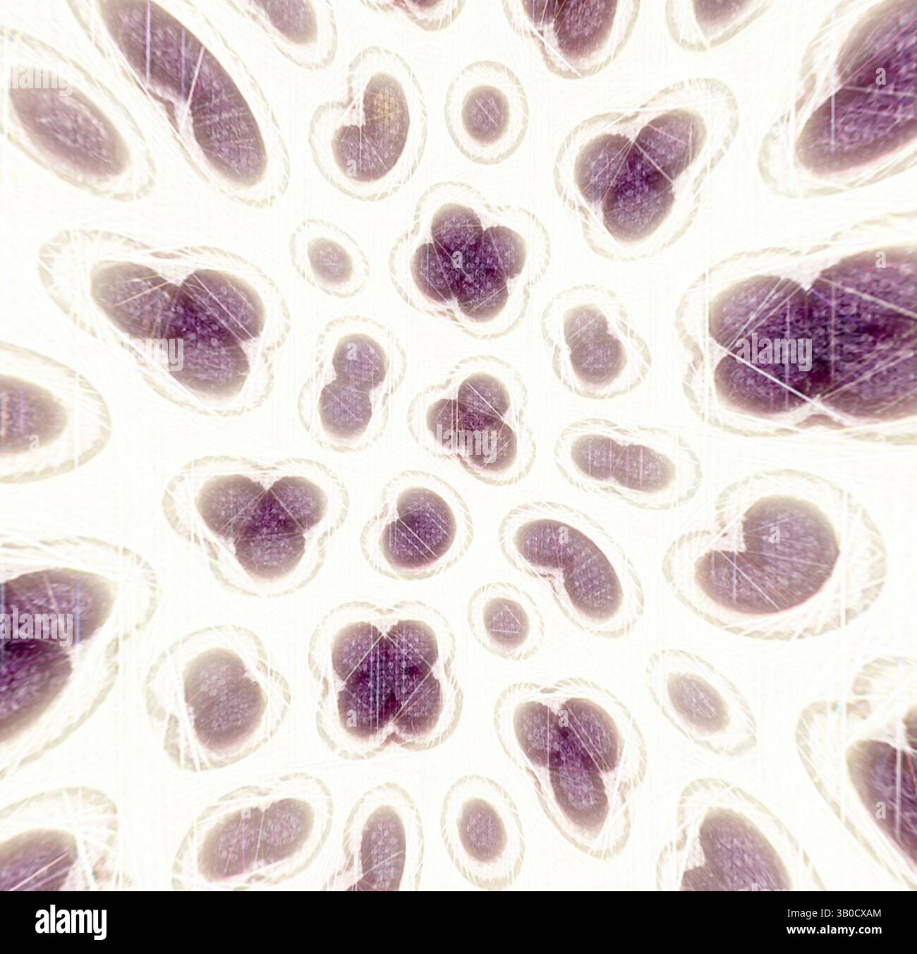 Dreamlike field of interconnected cells hi-res stock photography and ...