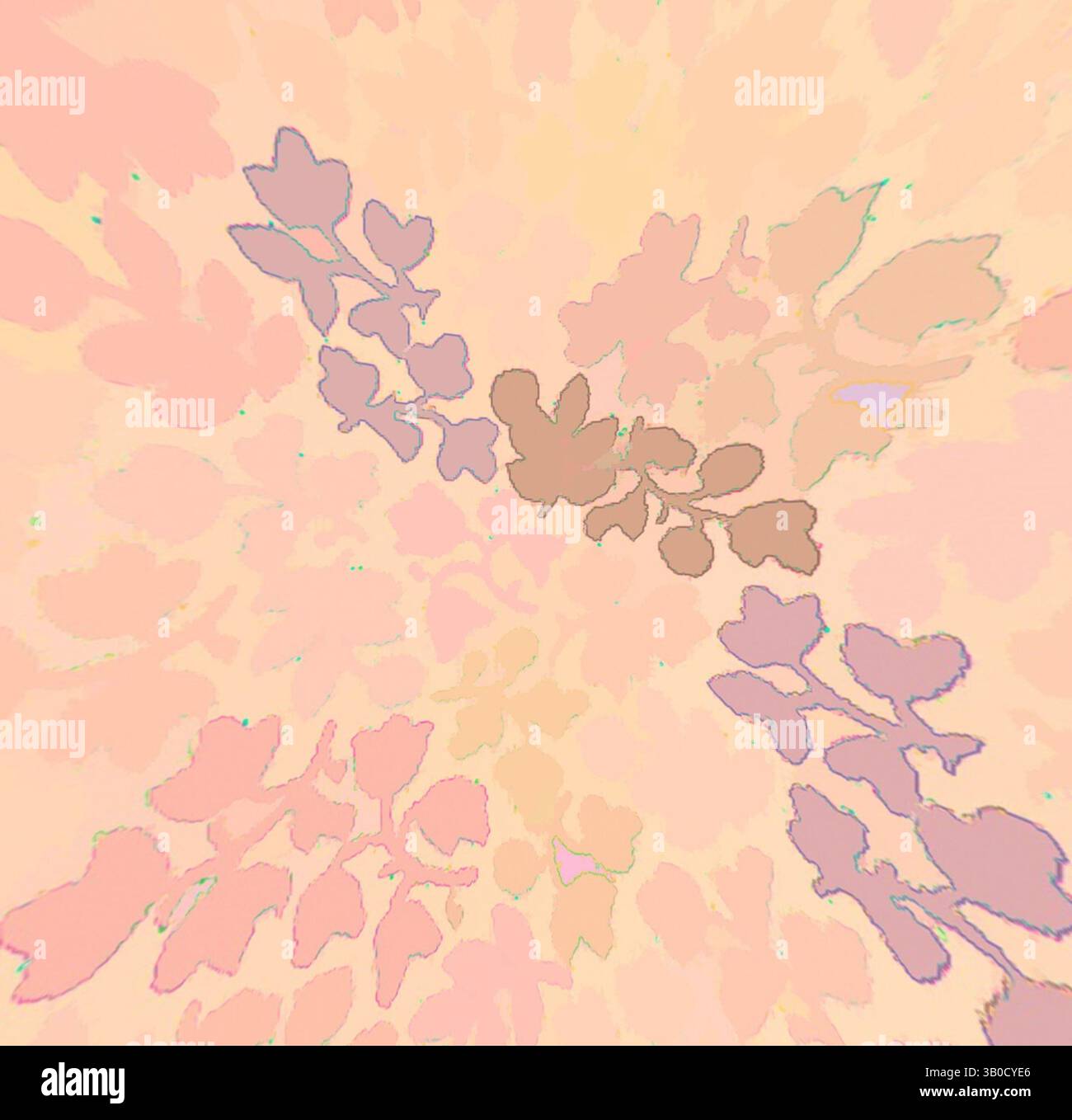 Overlapping leaves in gentle hues creates hi-res stock photography and ...