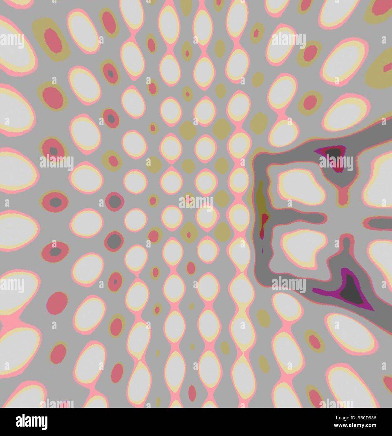 Elongated ovals radiates hi-res stock photography and images - Alamy