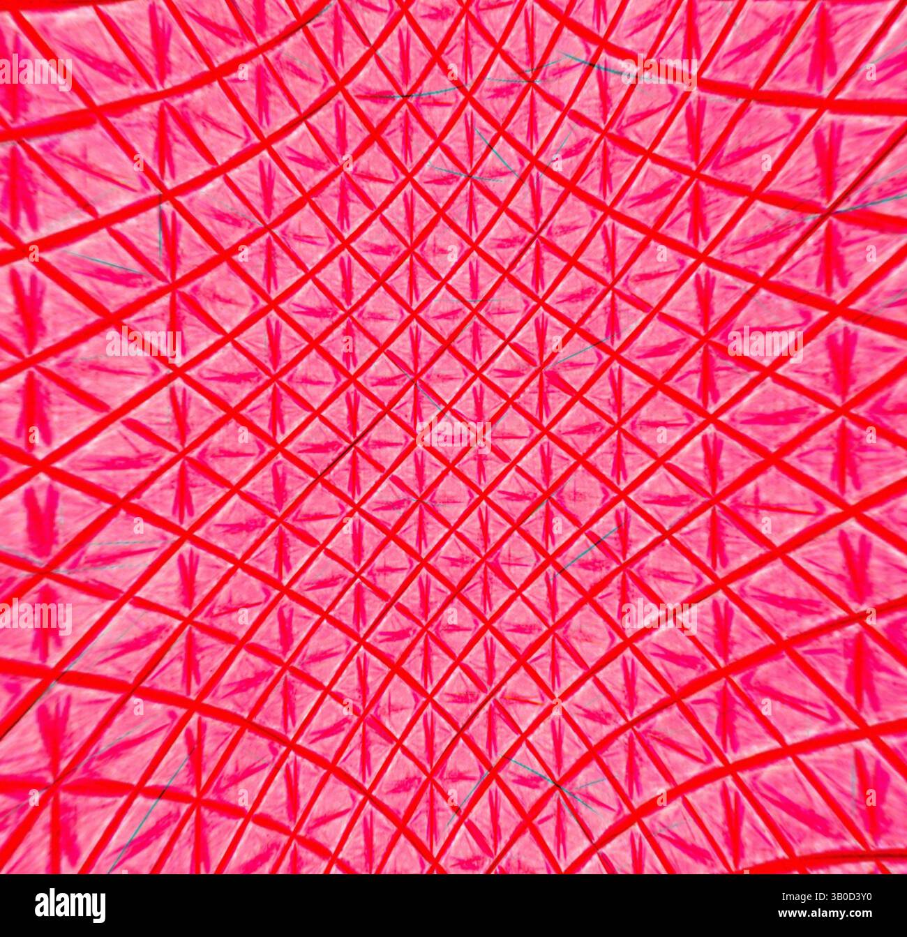 A vibrant network of interwoven lines forms a geometric pattern ...