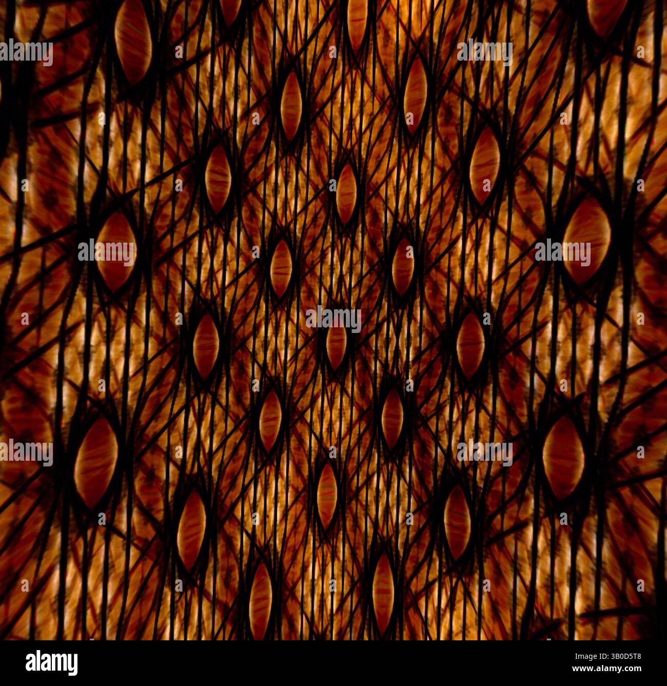 Pattern of elongated oval shapes hi-res stock photography and images ...