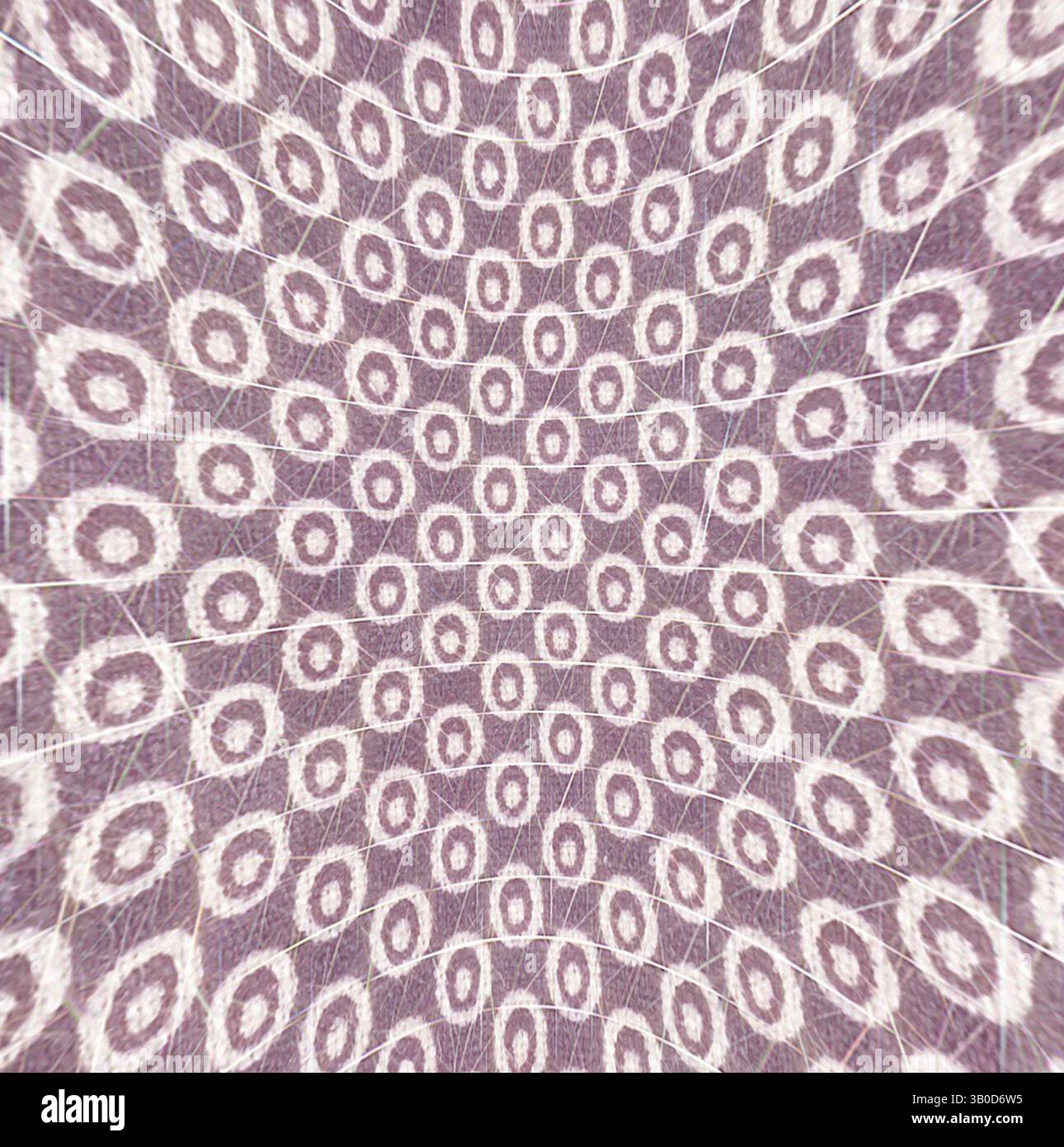 A mesmerizing geometric pattern featuring concentric circles arranged ...