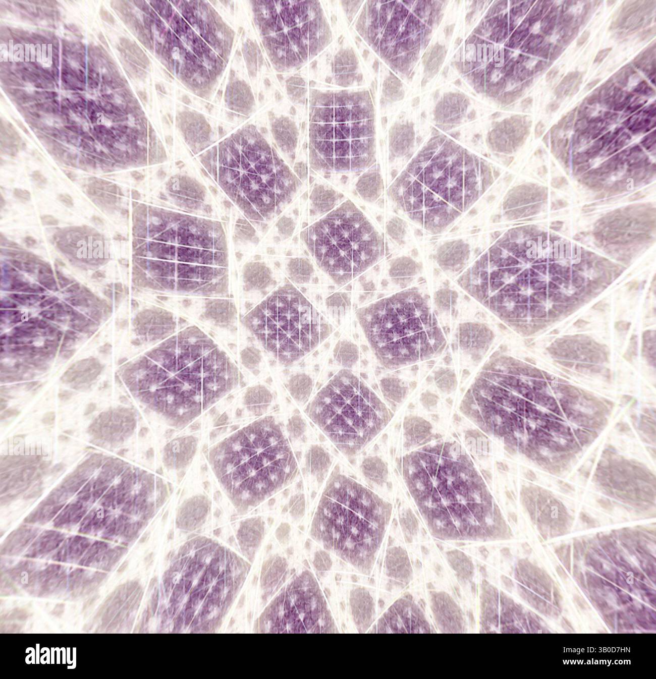 Shades of purple merge seamlessly hi-res stock photography and images ...