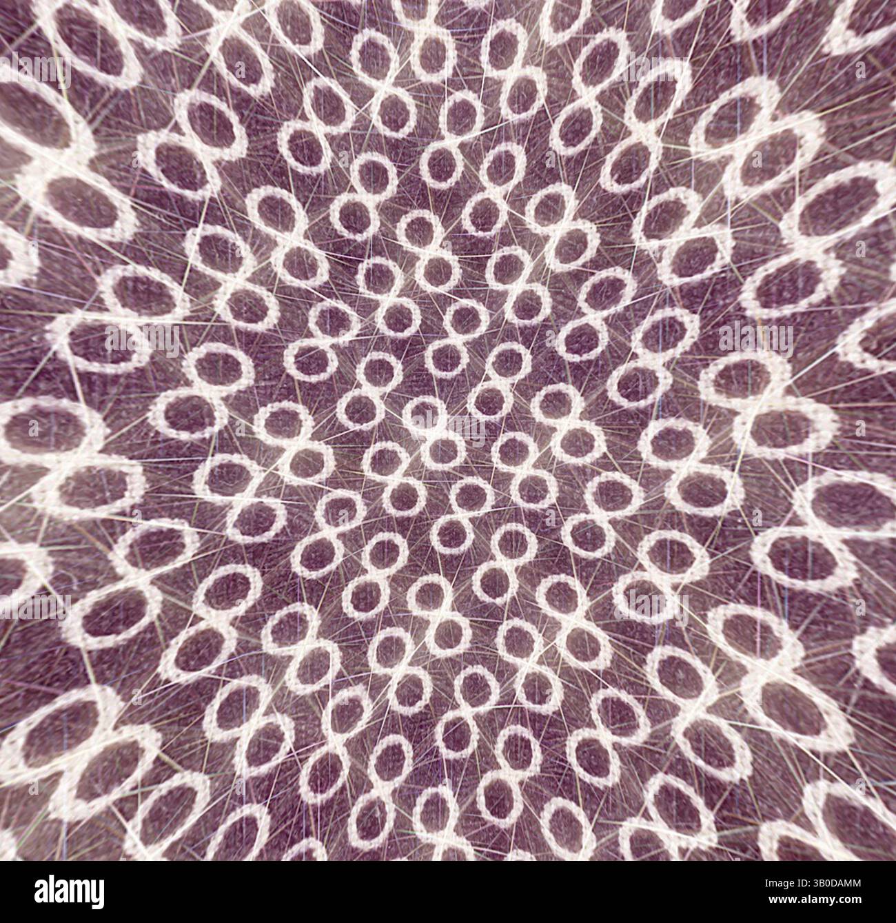 A mesmerizing pattern of interconnected circles radiates outward ...