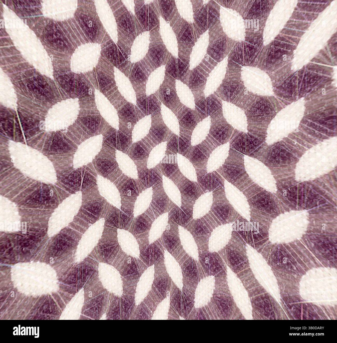 A symmetrical pattern featuring elongated leaf shapes arranged in a ...