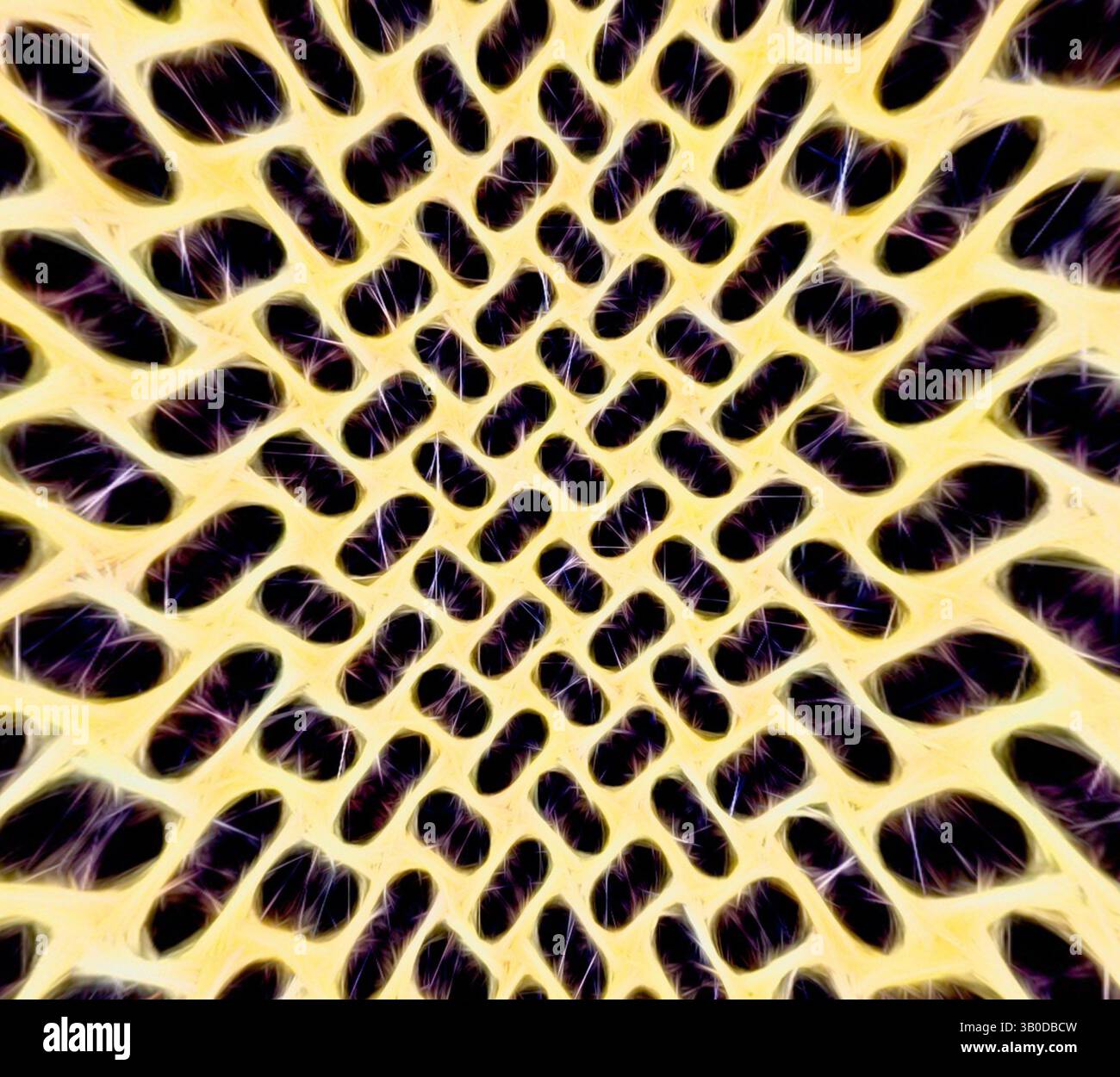 A close-up view revealing a complex network of interwoven hexagonal patterns with vibrant yellow ...