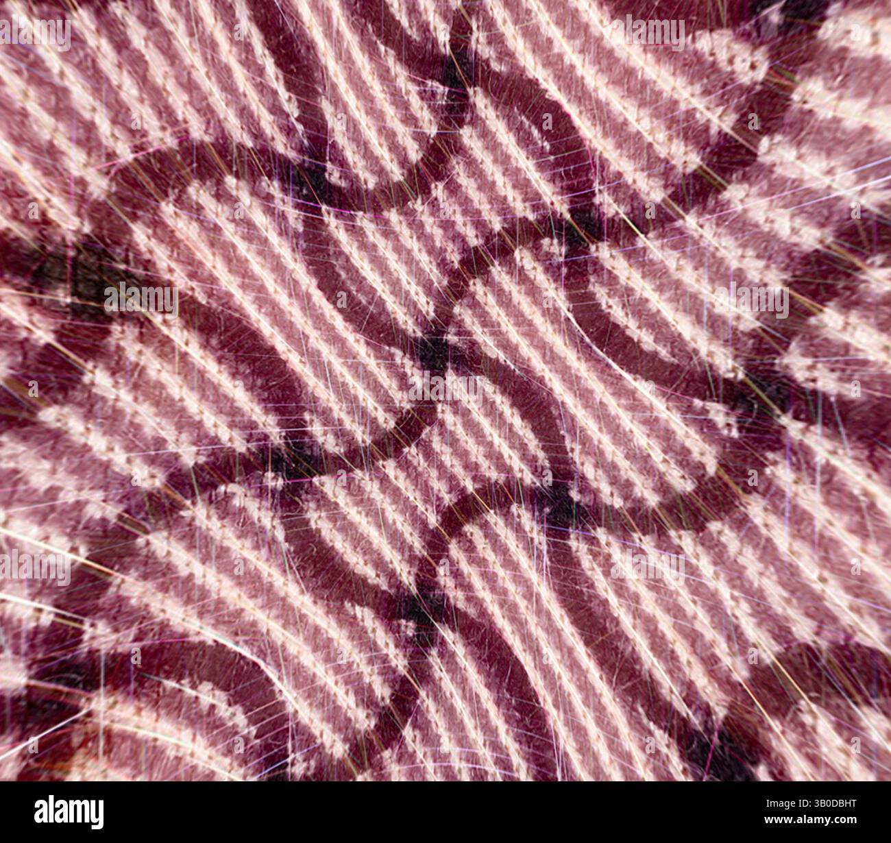 A close-up view of woven fabric showcasing intricate patterns of ...