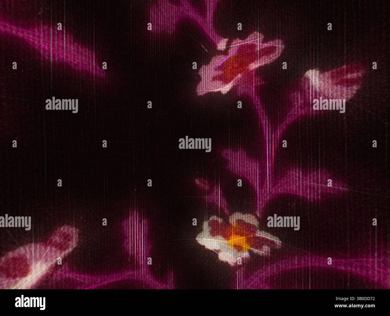 A haunting arrangement of vibrant flowers emerges against a dark ...