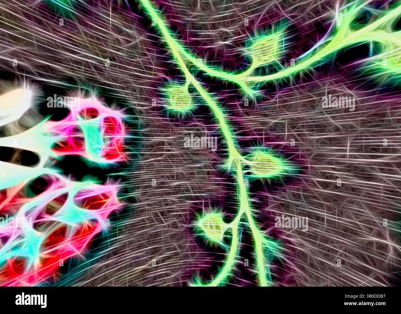 Featuring bold green tendrils hi-res stock photography and images - Alamy