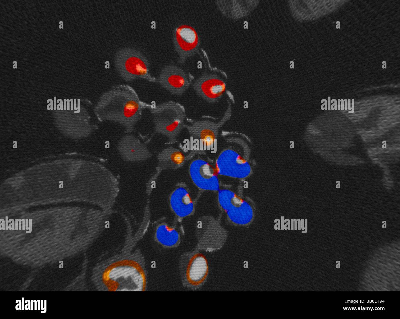 A cluster of abstract shapes displays vibrant red, blue, and orange ...