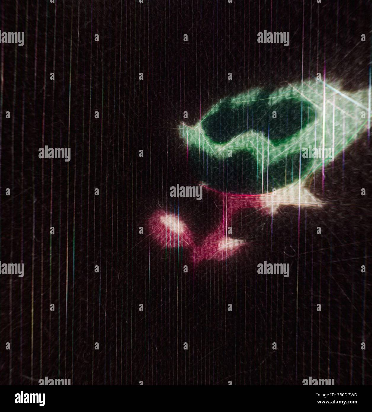 Abstract digital animation featuring soft hi-res stock photography and ...