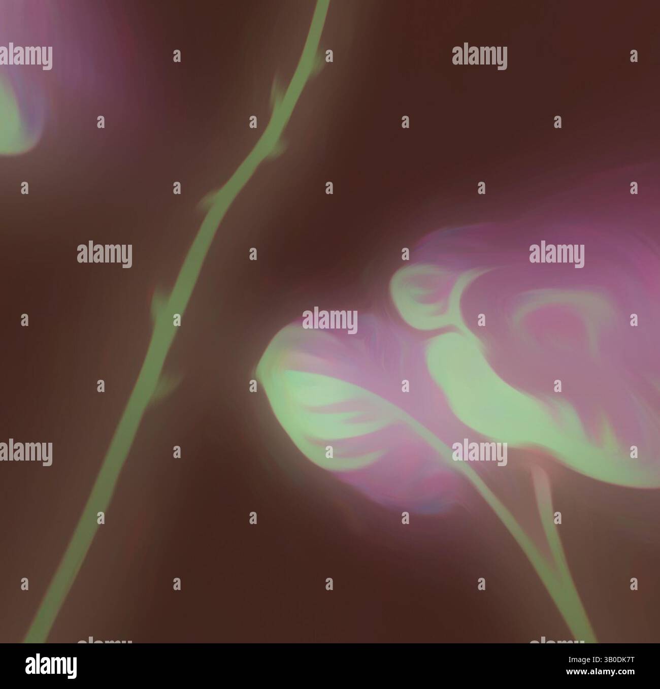 Soft, ethereal blooms emerge against a muted backdrop, their delicate ...