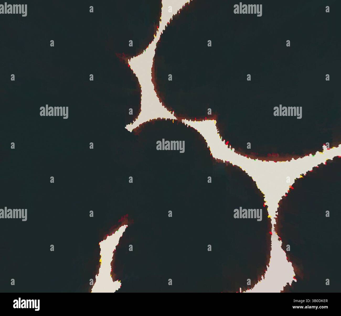 A close-up view of overlapping organic shapes, creating a dynamic ...