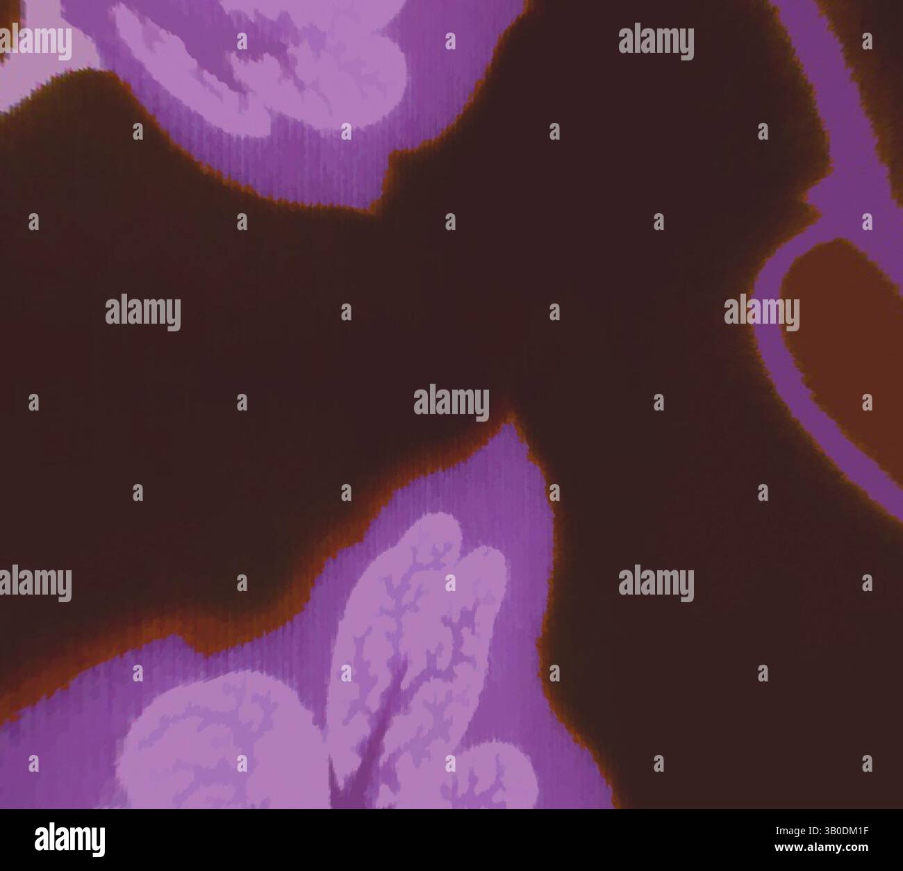 Large purple floral patterns set hi-res stock photography and images ...