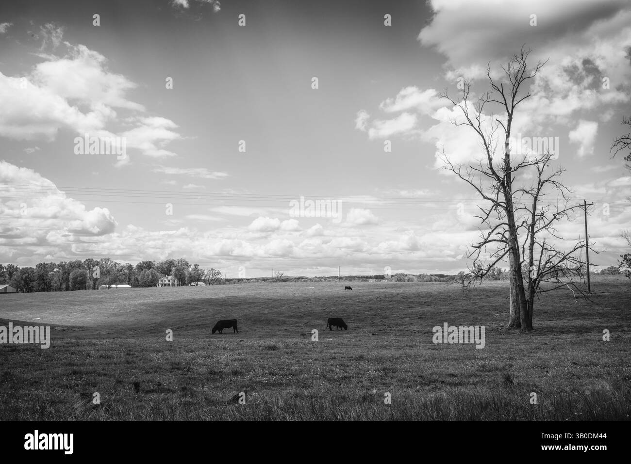 Farmland in Cocke County, Tennessee Stock Photo - Alamy
