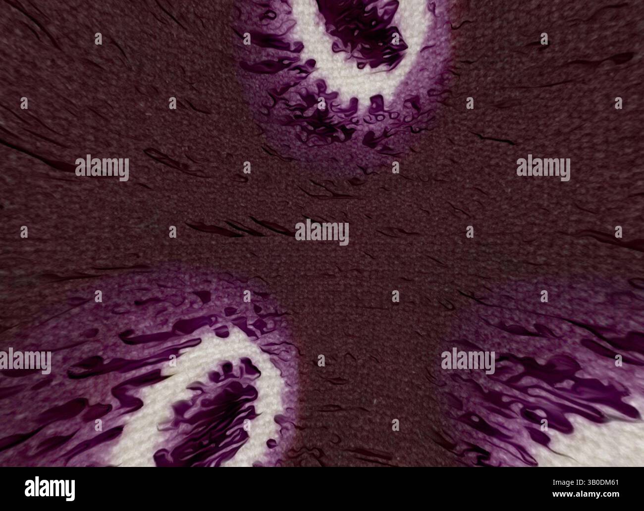 Repeating pattern of circular designs in hi-res stock photography and ...