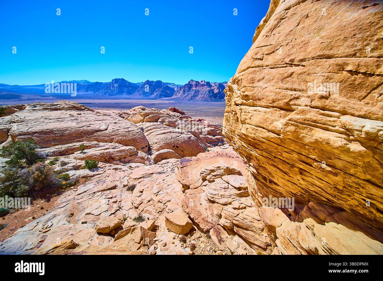 Red Rock Canyon Desert Landscape with Dramatic Formations at Eye Level ...