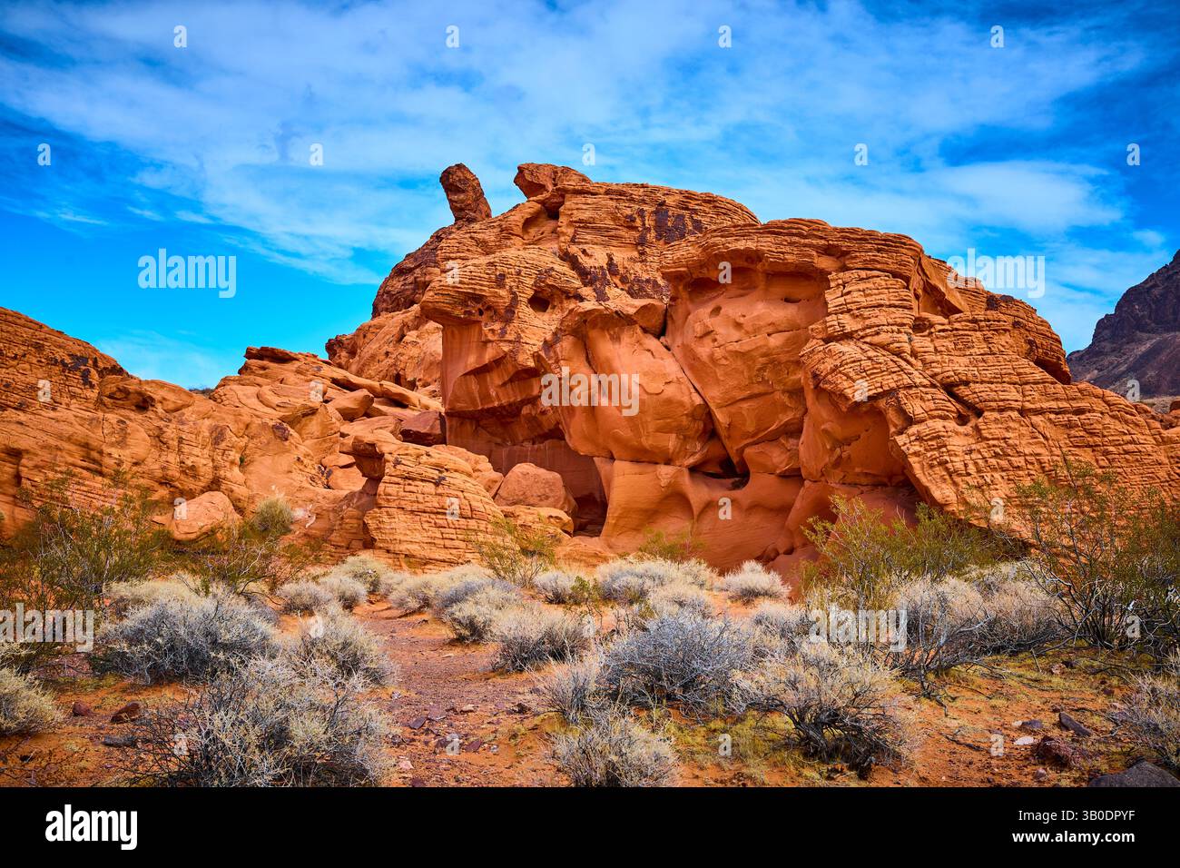 Desert Rock Formations and Vegetation Against Blue Sky at Eye Level ...