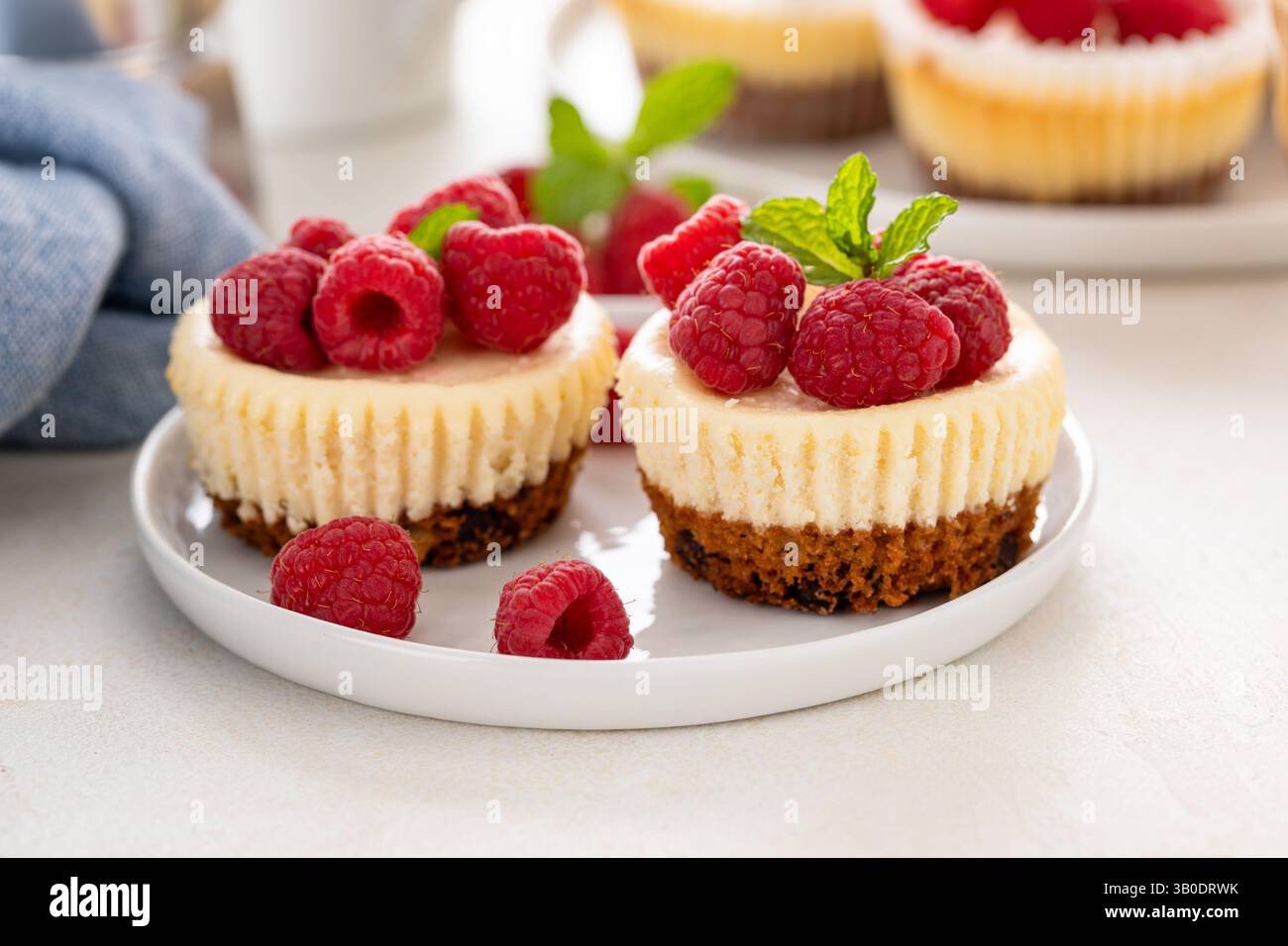Classic New York cheesecakes in individual cups topped with fresh ...
