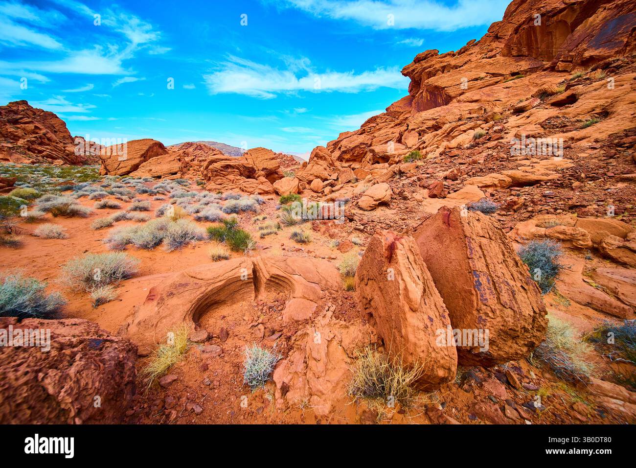 Redstone Dune Desert Serenity Ground-Level Perspective Stock Photo - Alamy