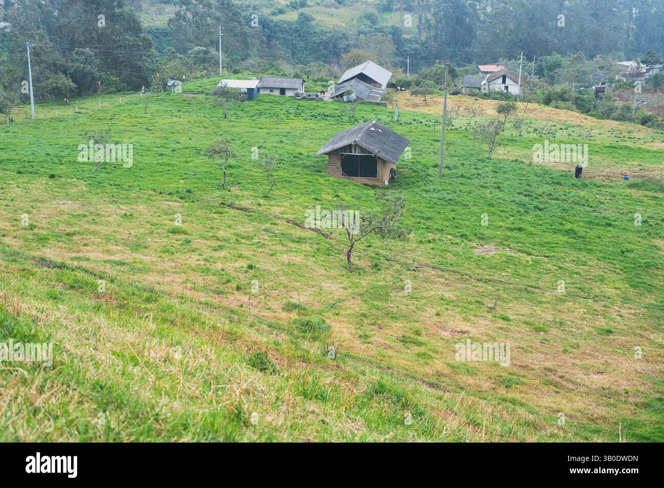 A scenic rural landscape with traditional houses amidst lush greenery ...
