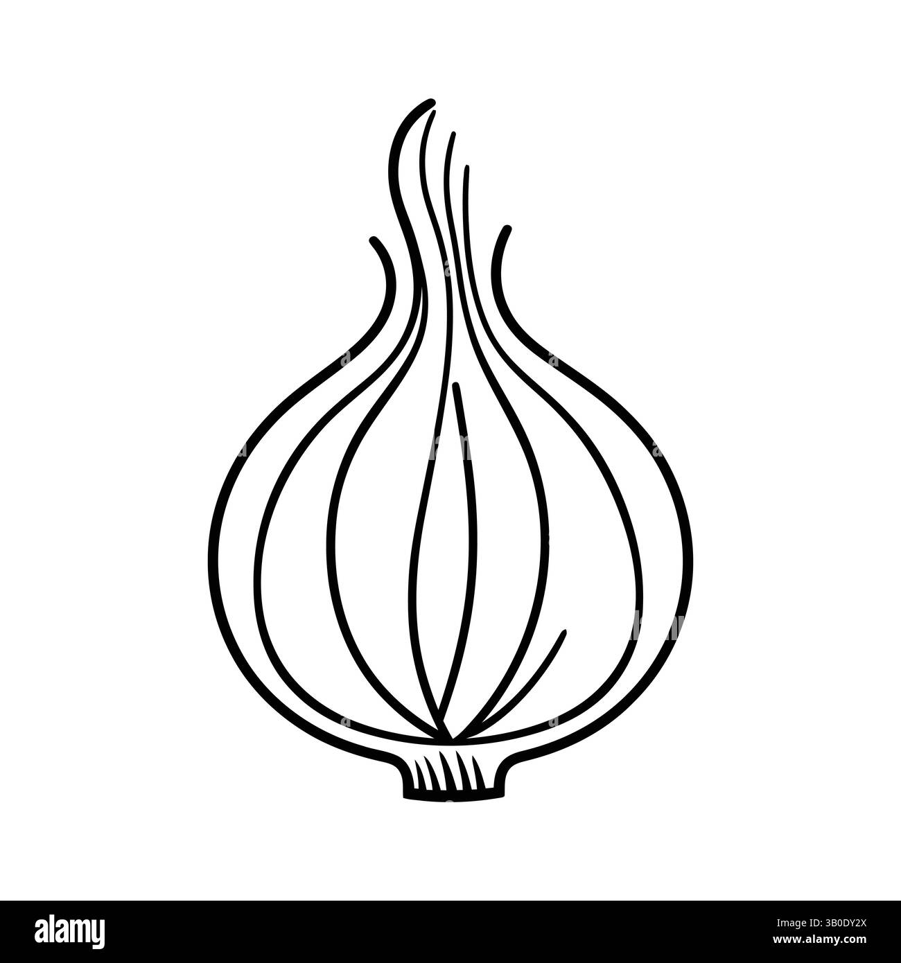 Onion icon, outline, silhouette, vector, illustration, isolated on ...
