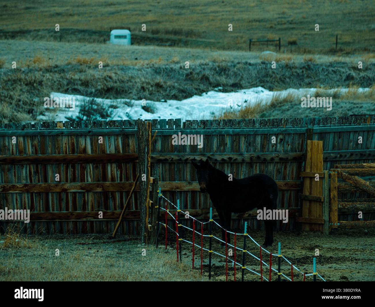 Quiet ranch scene hi-res stock photography and images - Alamy