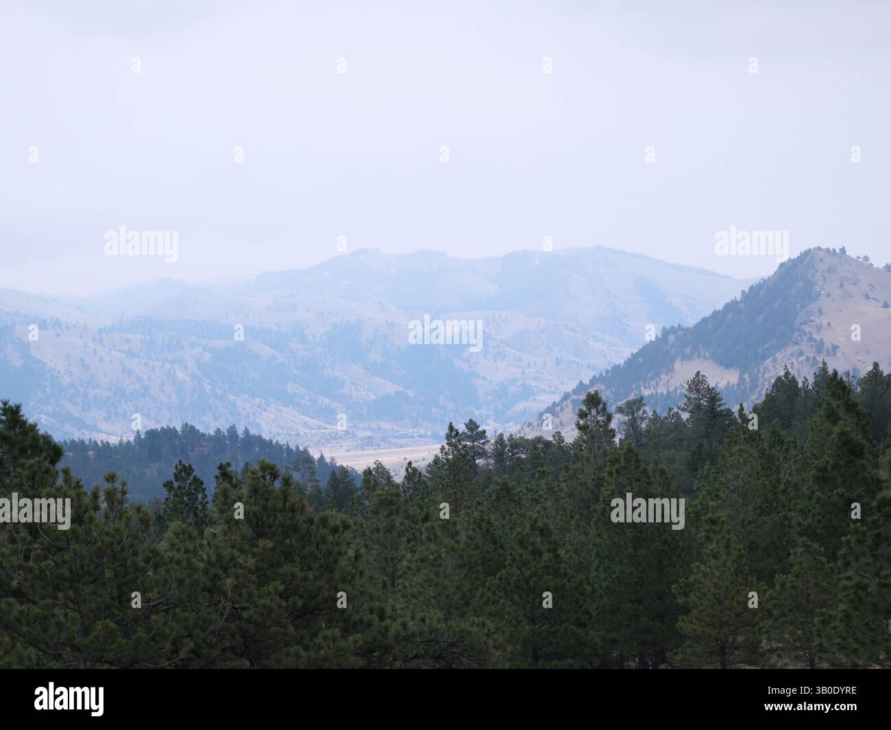 Mountain ridges covered forest hi-res stock photography and images - Alamy