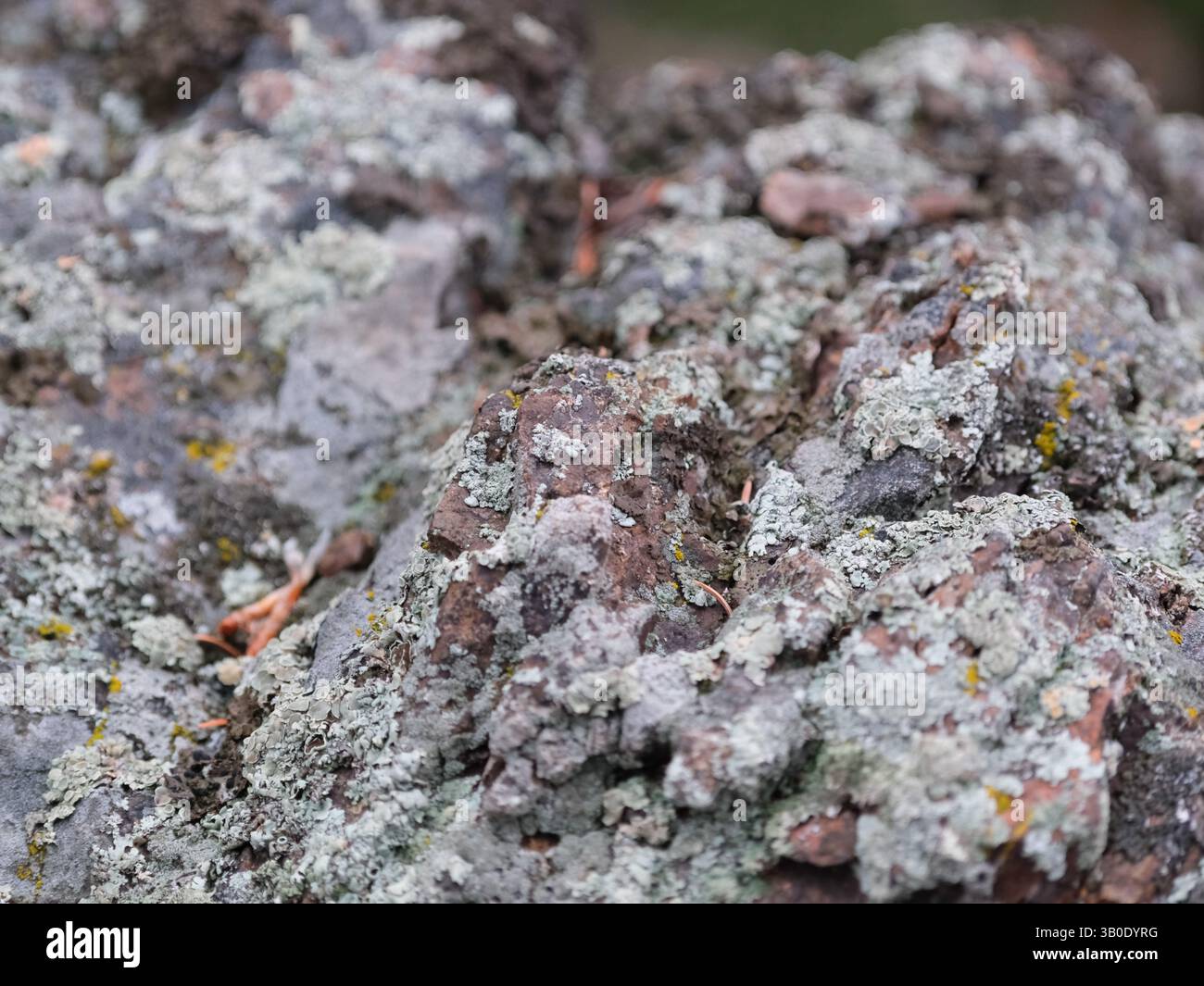 Living Stone — Lichen and Texture on Ancient Rock Stock Photo - Alamy